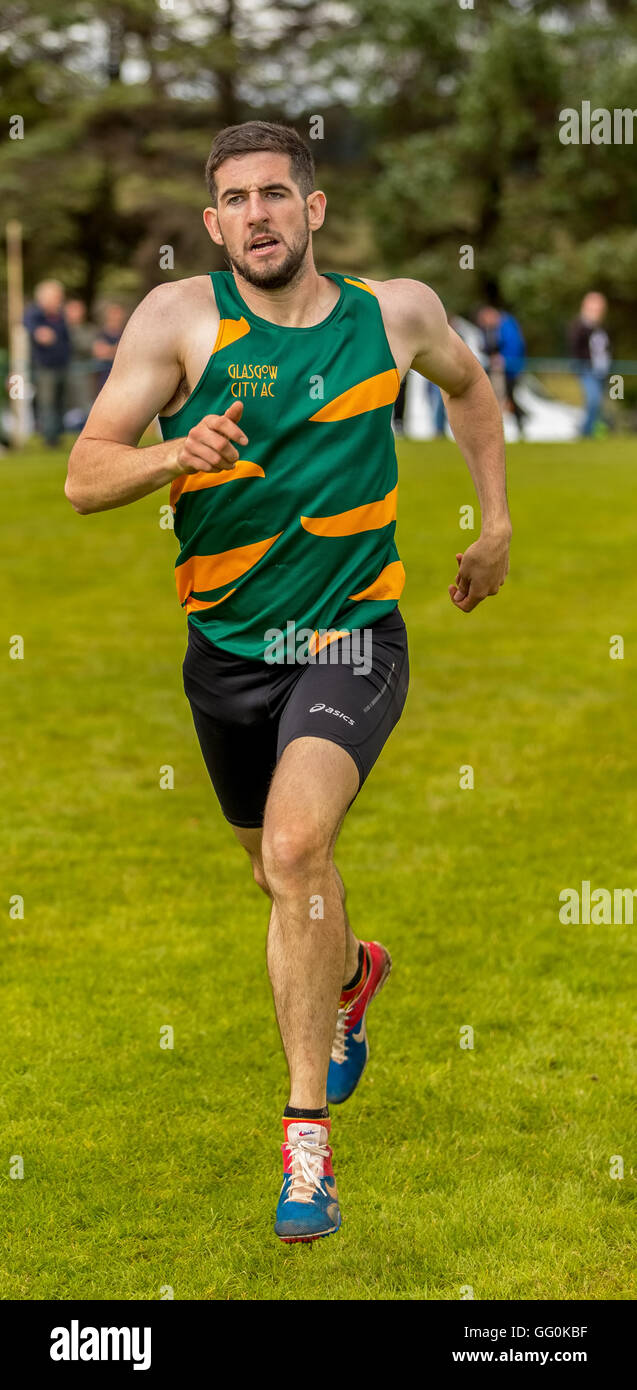 Dufftown,Moray,Scotland,UK. 30th July 2016. This is activity within ...