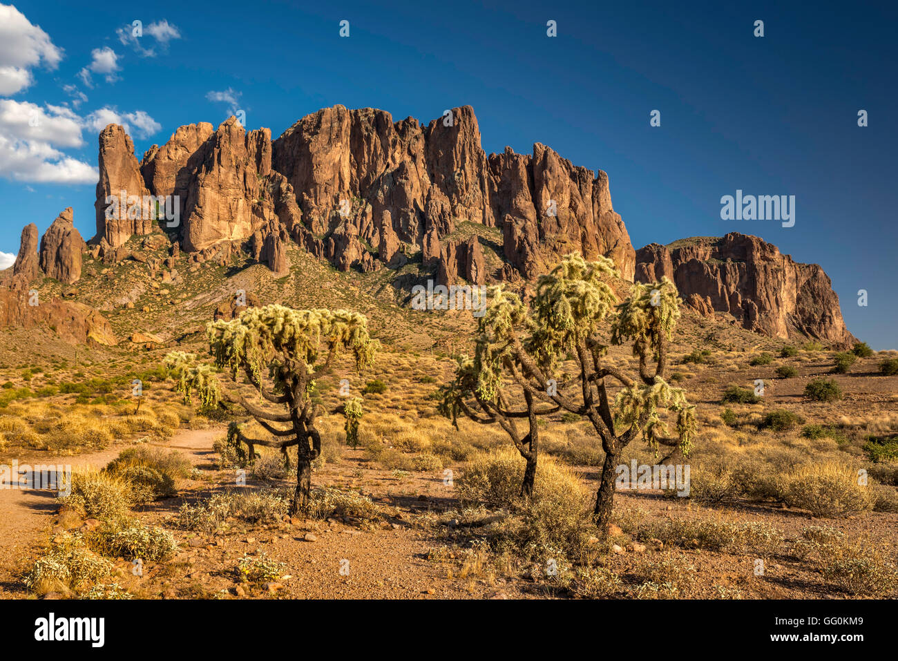 Lost Dutchman Park High Resolution Stock Photography and Images - Alamy