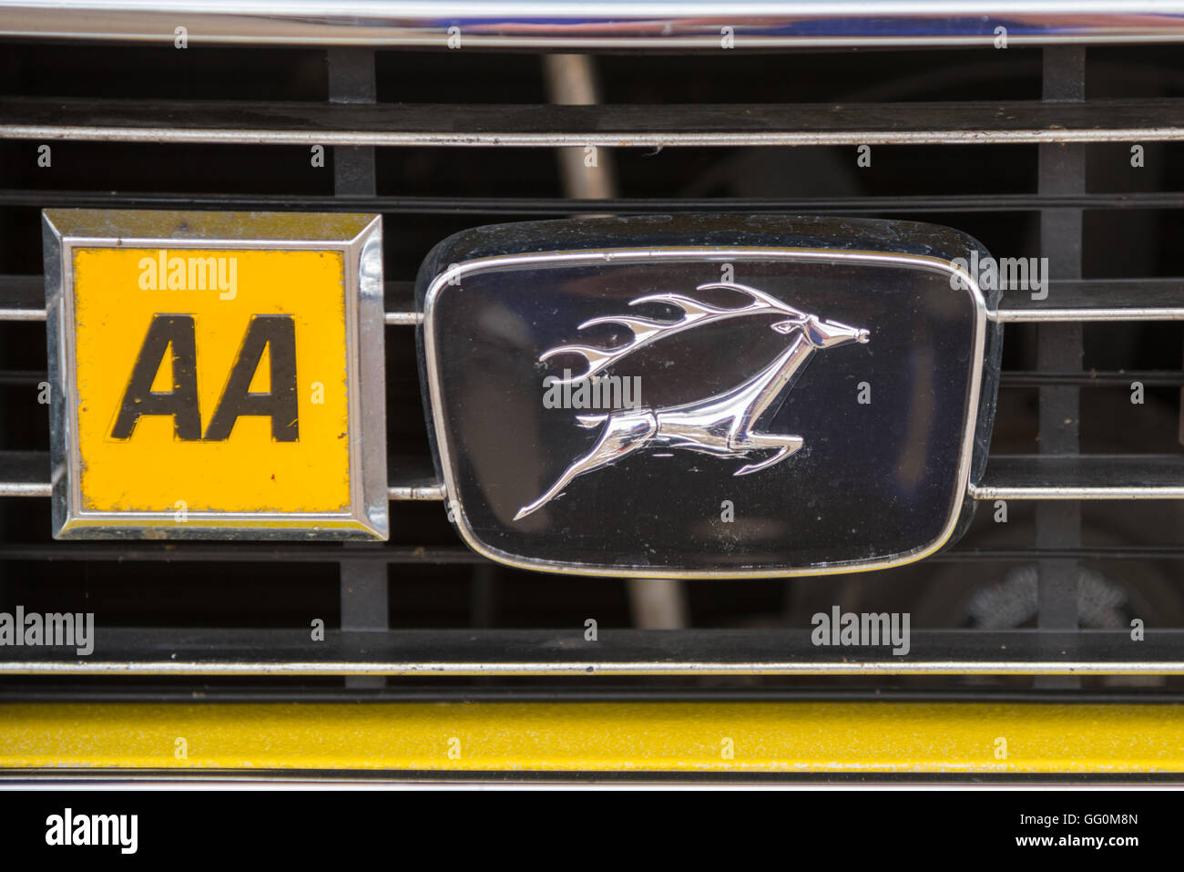 Triumph stag hi-res stock photography and images - Alamy