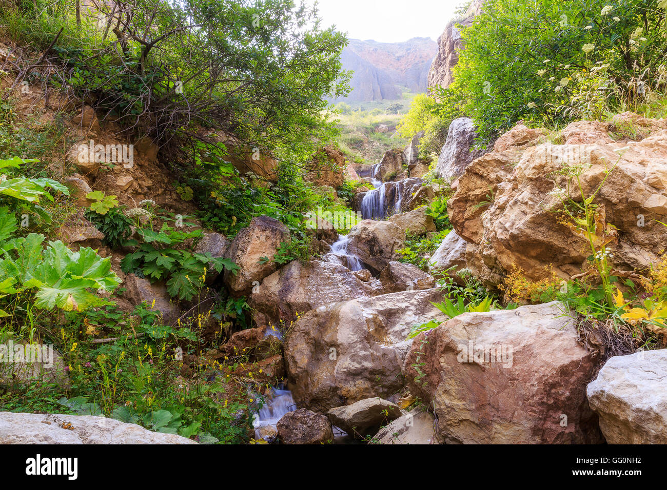 Waterfall in the mountains near the village of Griz.Guba.Azerbaijan ...