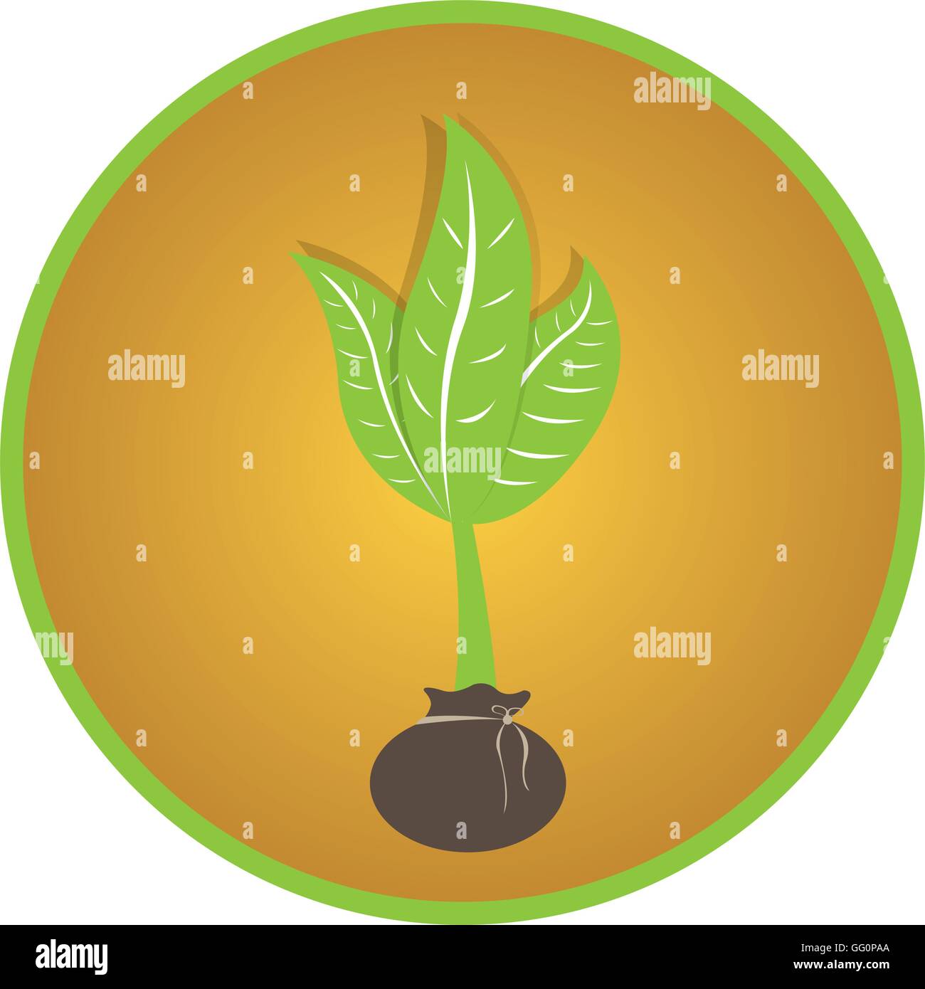 Isolated orange sticker with a born tree on a white background Stock ...