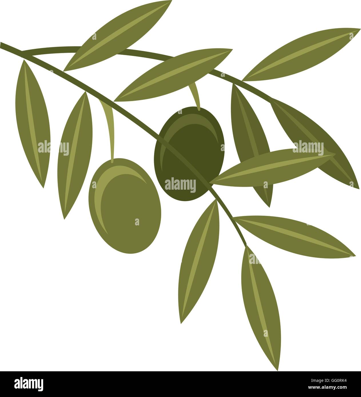 olive seeds plant icon Stock Vector Image & Art - Alamy