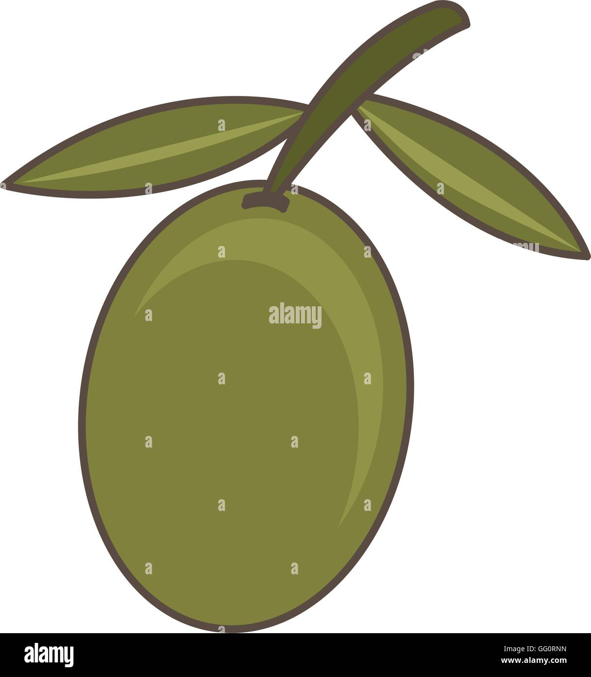 olive seeds plant icon Stock Vector Image & Art - Alamy