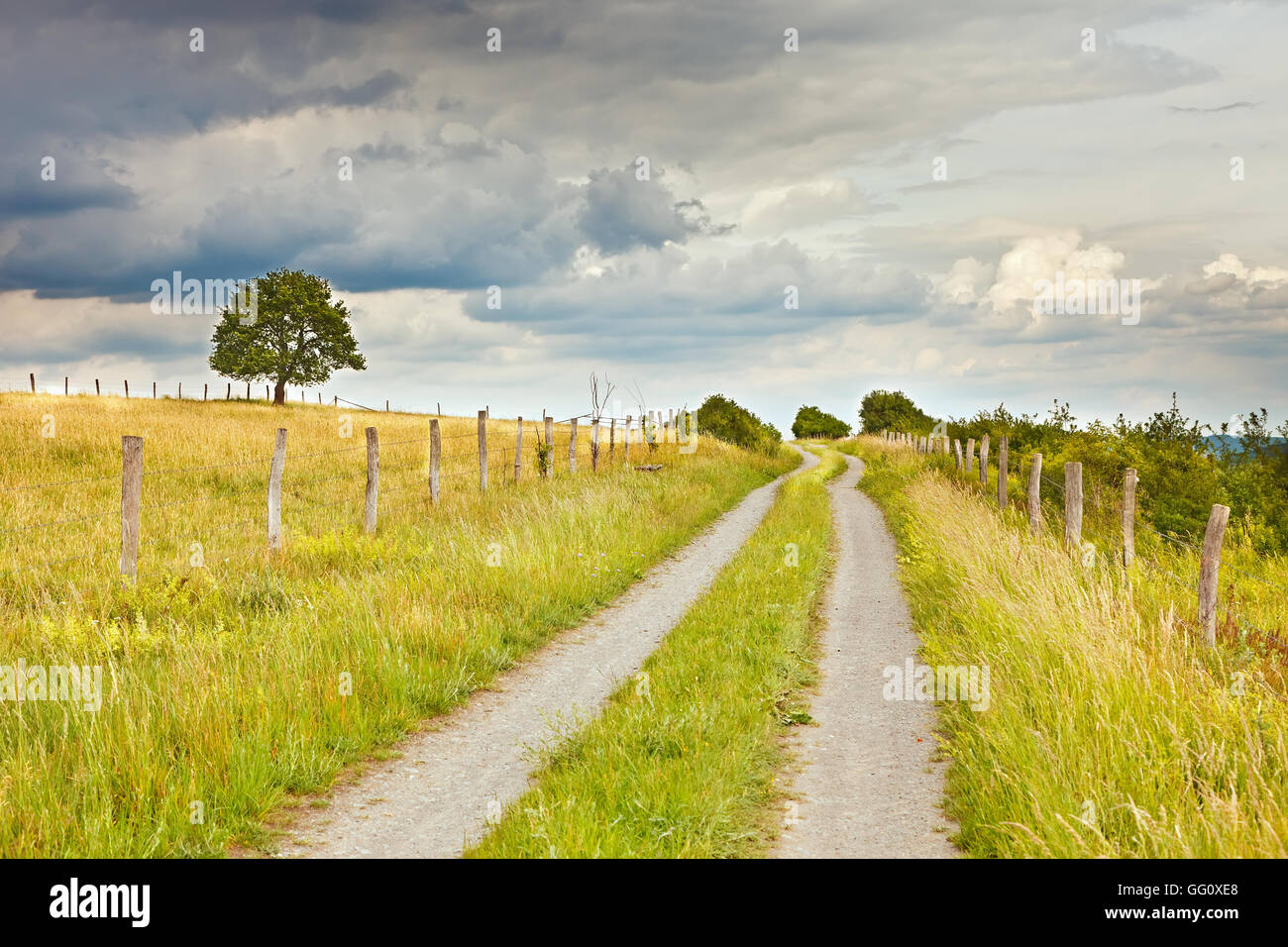 German countryside at summer Stock Photo - Alamy