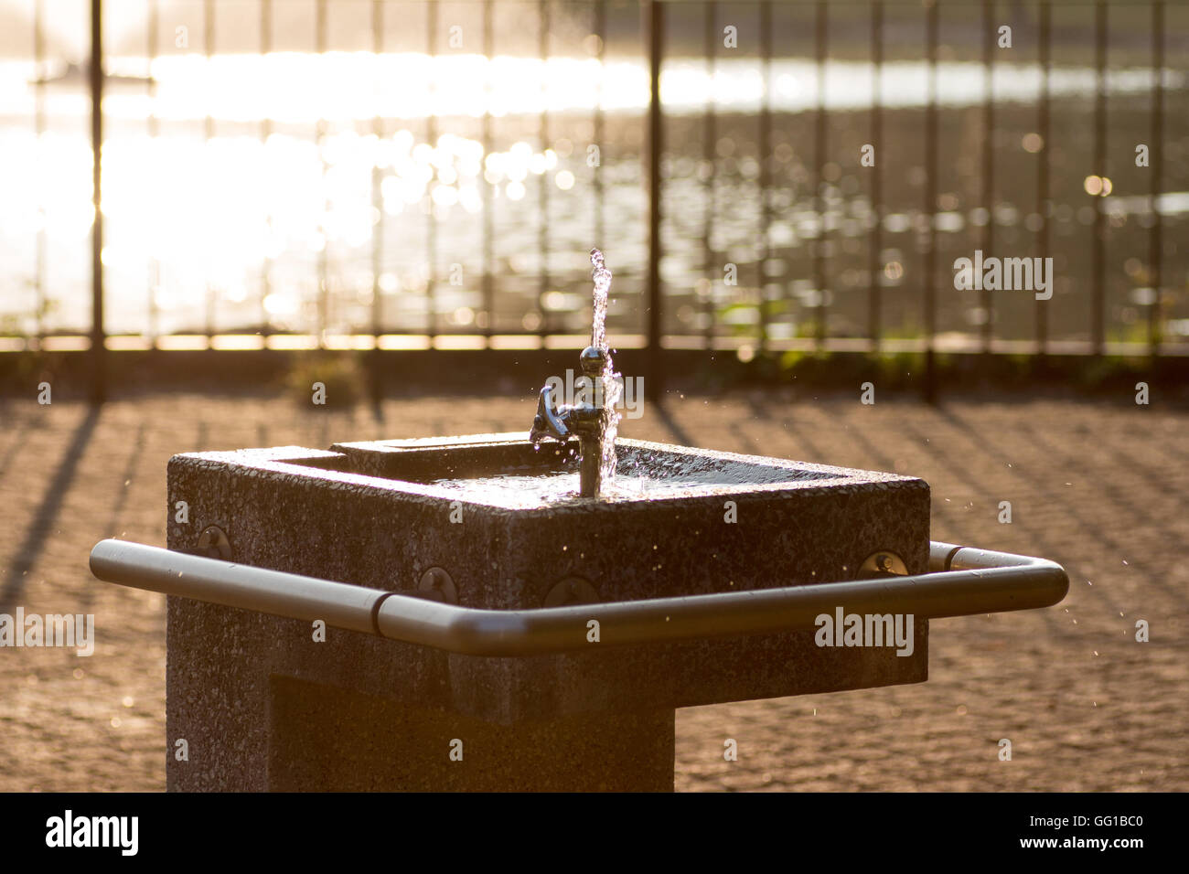 Public drinking fountain in the park in the morning Stock Photo - Alamy