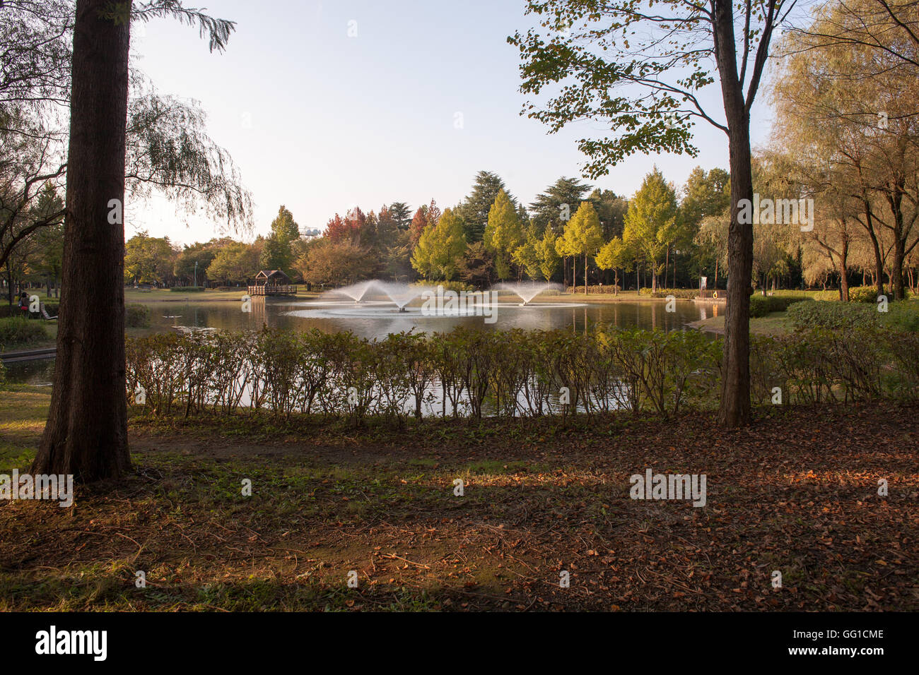 Fountain many fountains in hi-res stock photography and images - Alamy