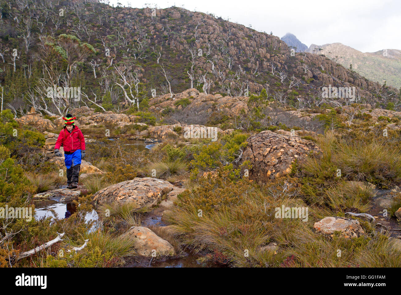 The cradle walk hi-res stock photography and images - Alamy
