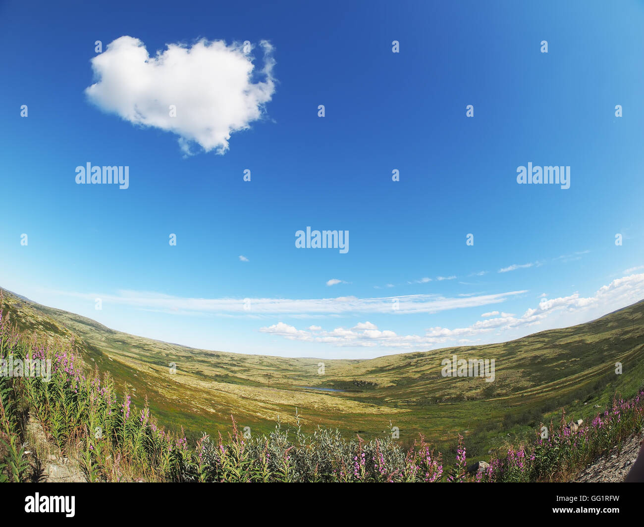 clouds and sky over the tundra in the north of Russia Stock Photo - Alamy