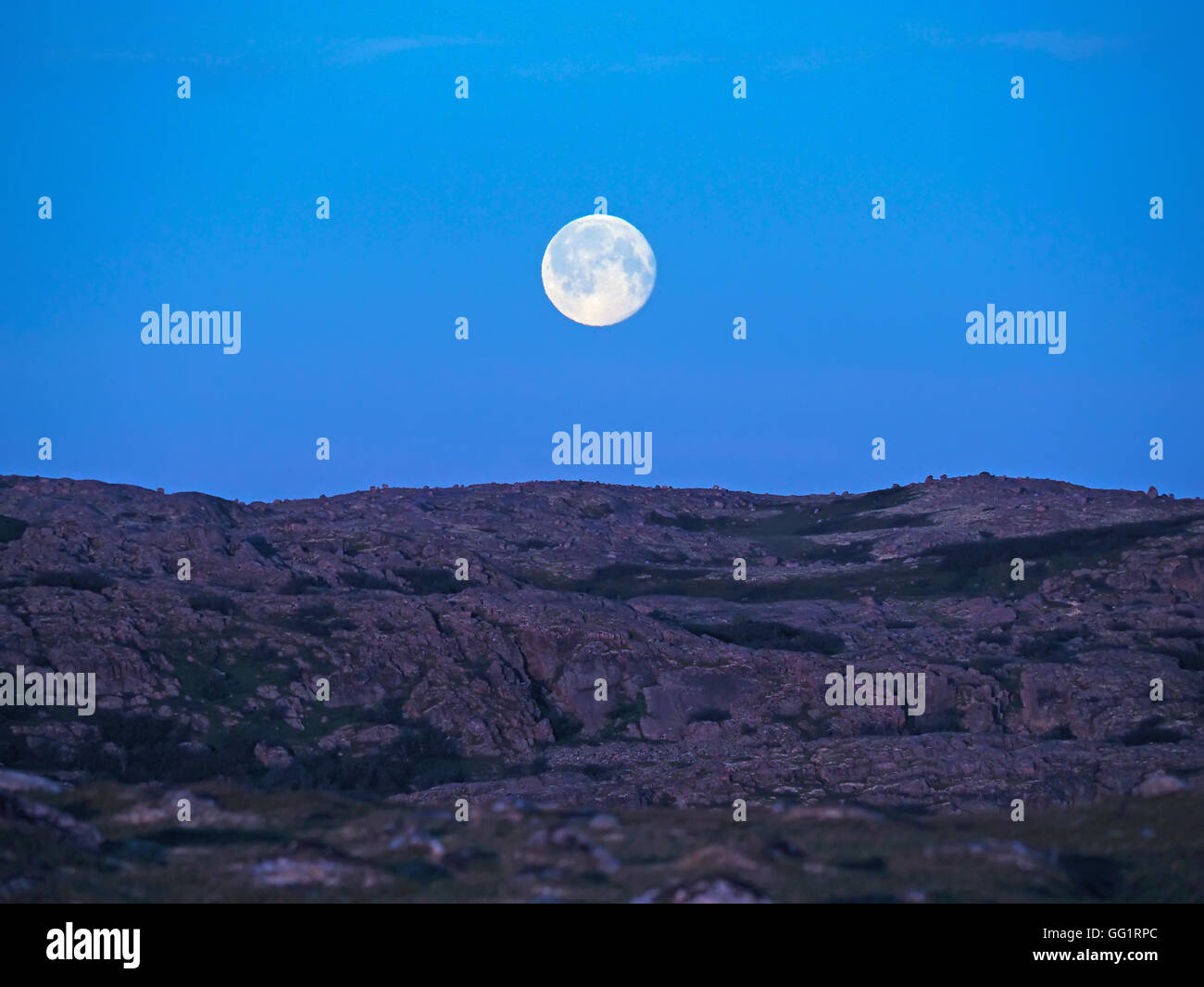 moon on the tundra in the north of Russia Stock Photo - Alamy