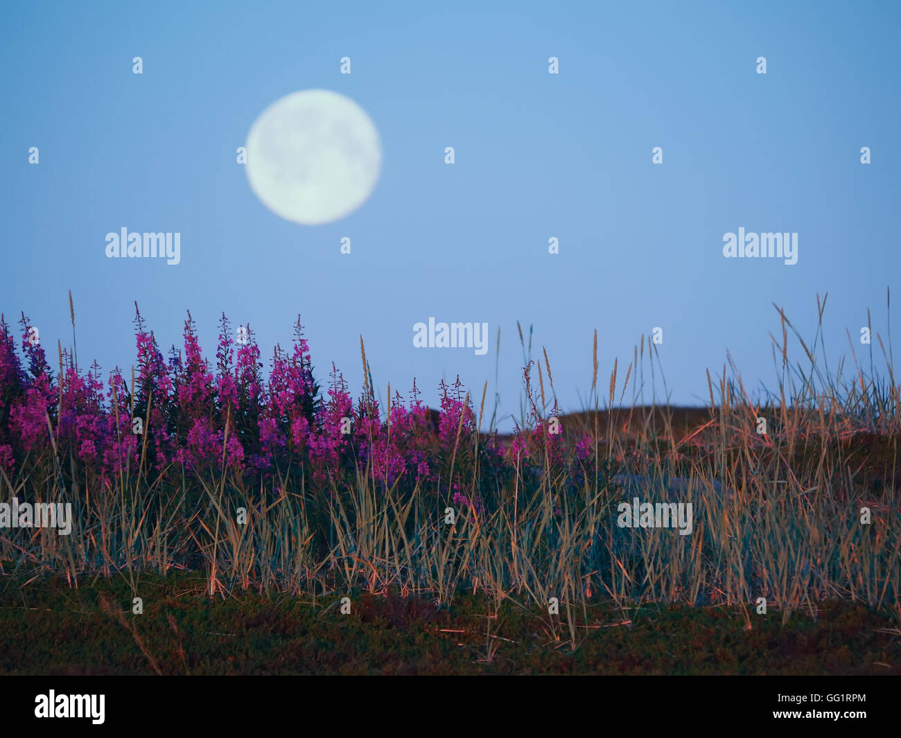 Cyprus and the moon Stock Photo - Alamy