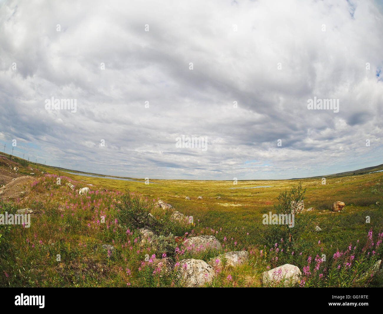 cloudy sky over the tundra in the north of Russia Stock Photo - Alamy
