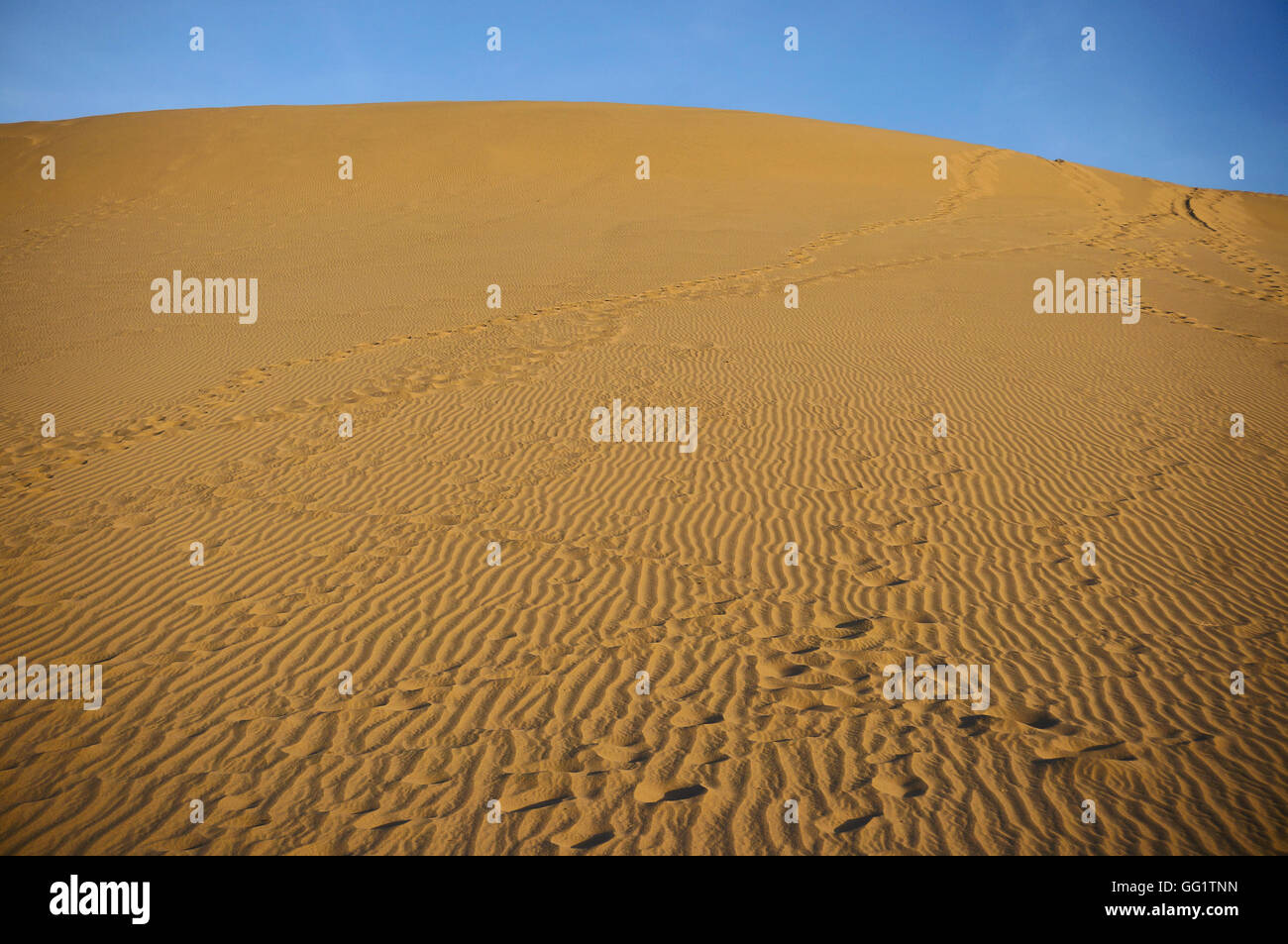 Sundown over desert landscape Sand dunes Stock Photo - Alamy