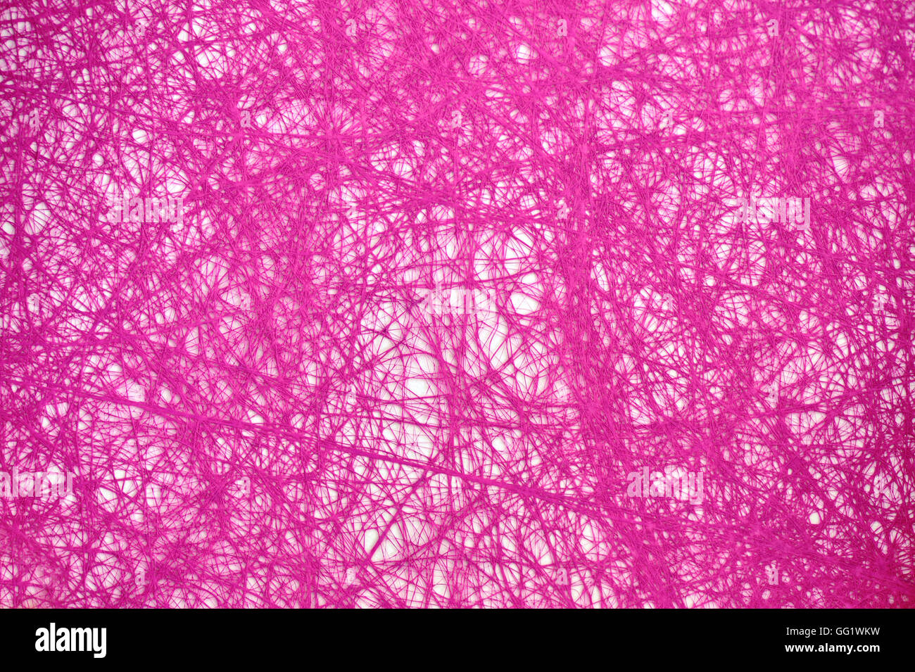 A close up studio photo of a web weave background Stock Photo - Alamy