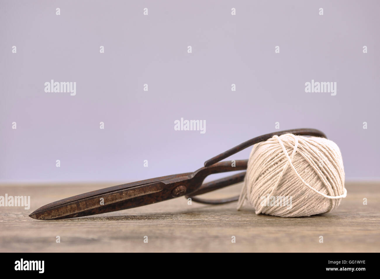 A studio photo of a pair of vintage scissors Stock Photo - Alamy