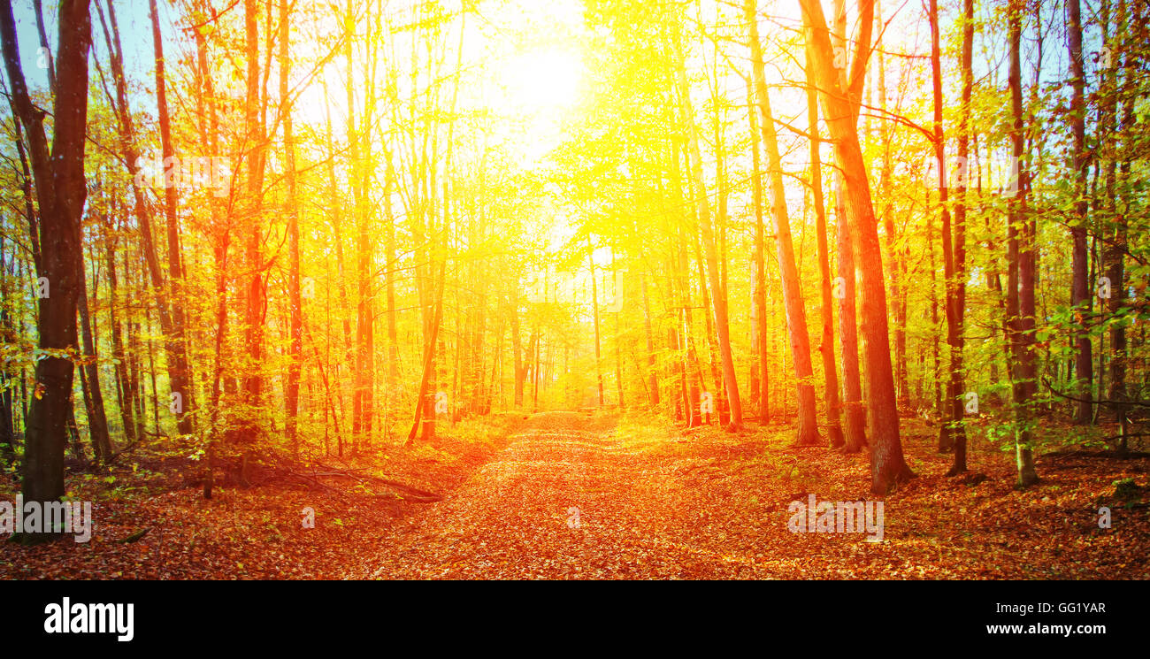 Air colors colorful morning beautiful hi-res stock photography and ...