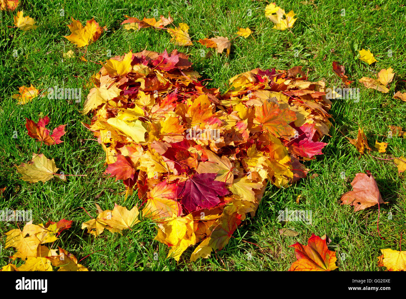Heart leaves hi-res stock photography and images - Alamy
