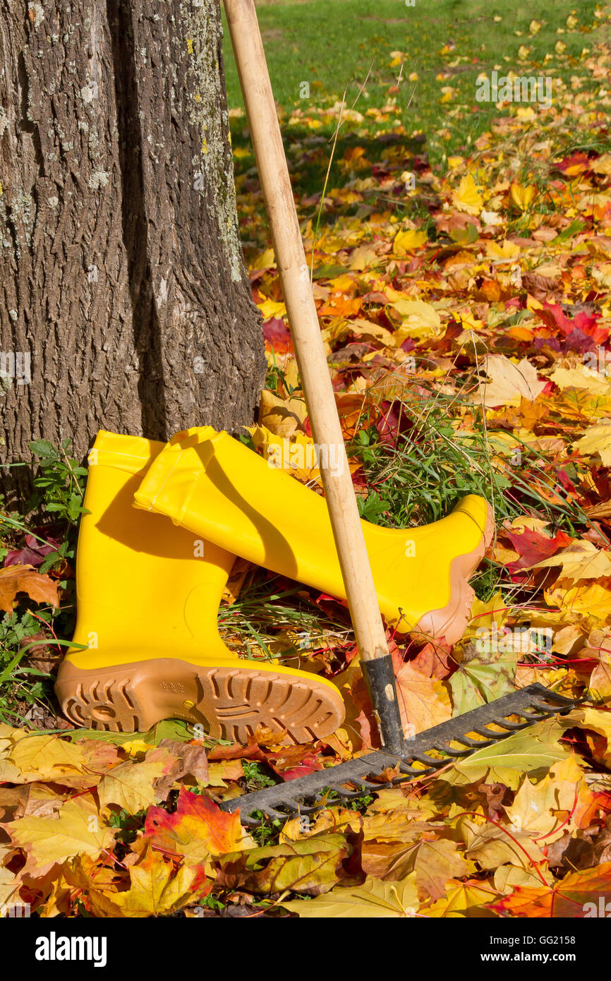 Rake leaves hi-res stock photography and images - Alamy