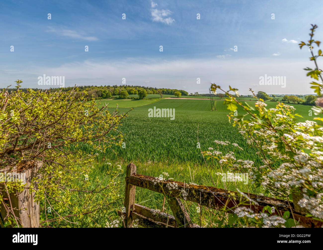 A field in Hampshire, the site of the Battle of Cheriton in the English ...