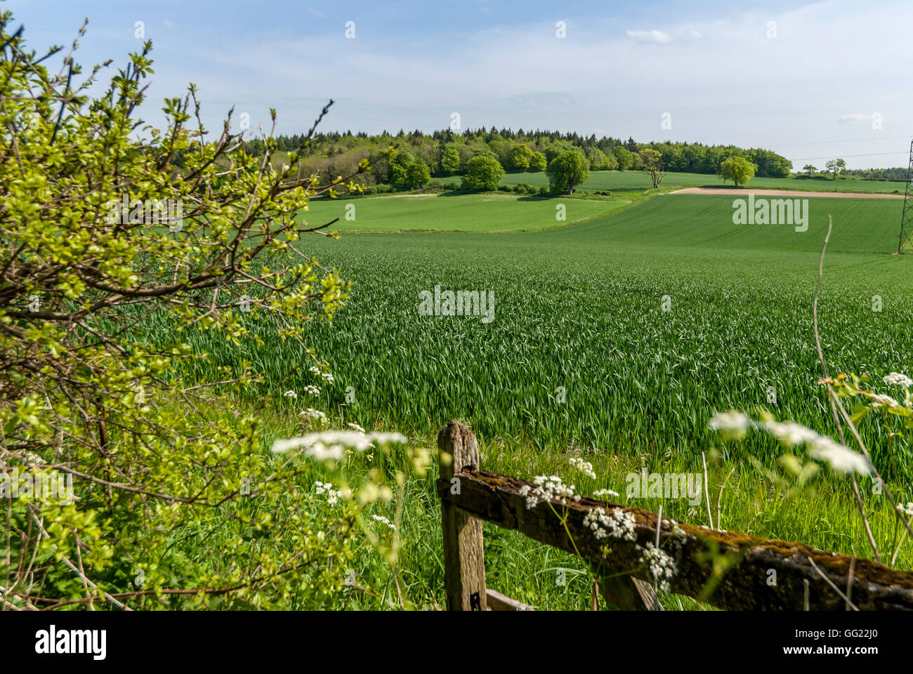 A field in Hampshire, the site of the Battle of Cheriton in the English ...
