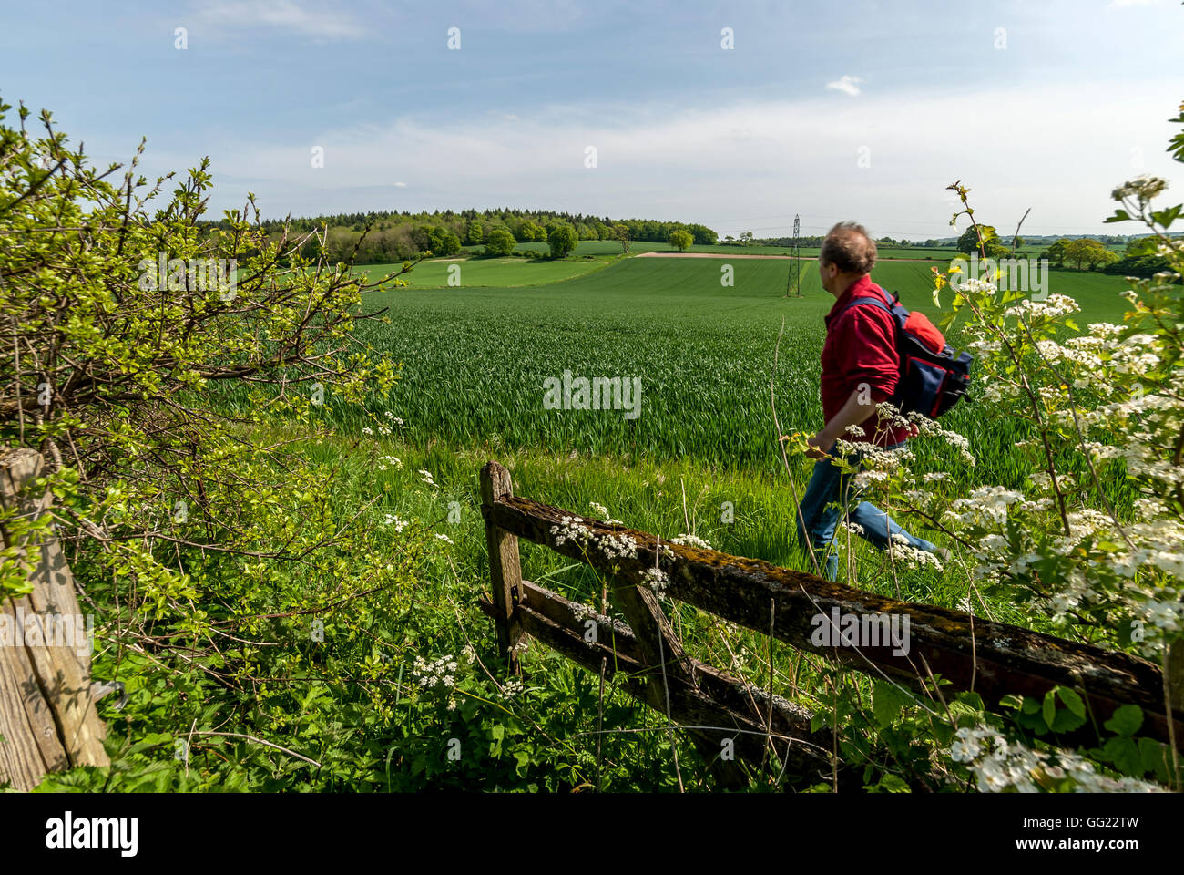 A field in Hampshire, the site of the Battle of Cheriton in the English ...