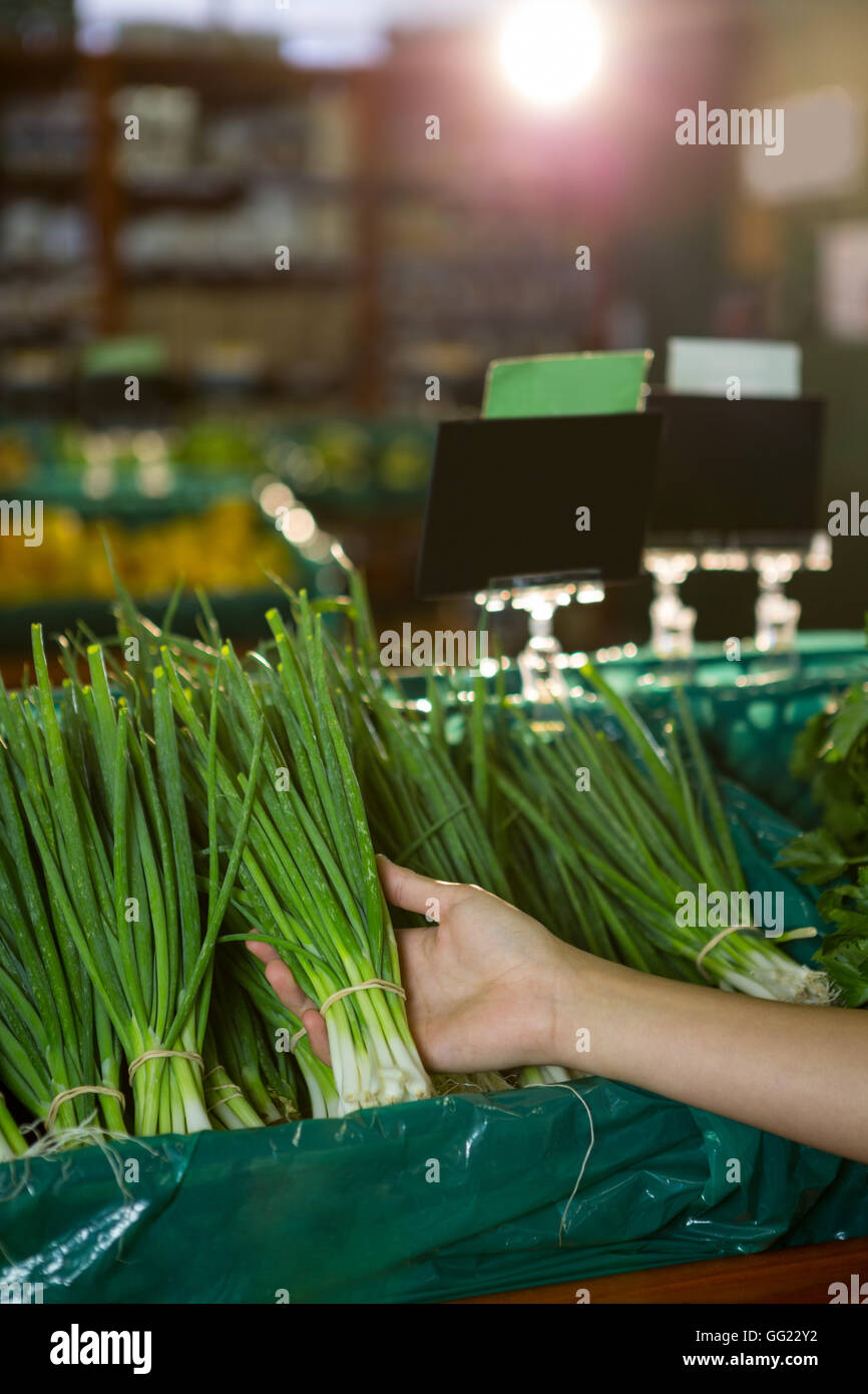 Bunch of scallions hi-res stock photography and images - Alamy