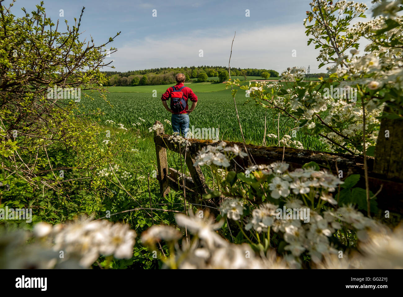 A field in Hampshire, the site of the Battle of Cheriton in the English ...