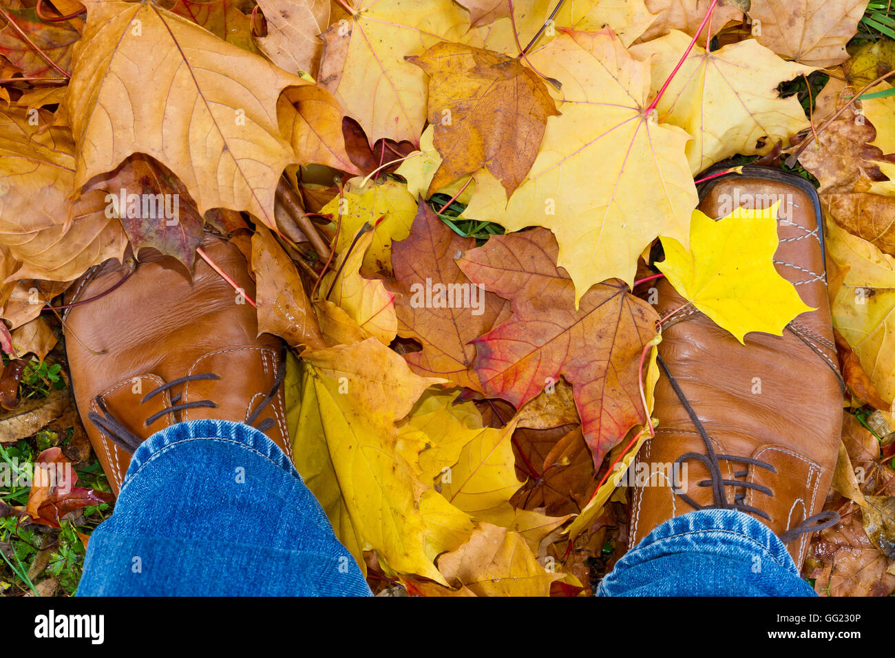 Autumn leaves fall fashion hi-res stock photography and images - Alamy