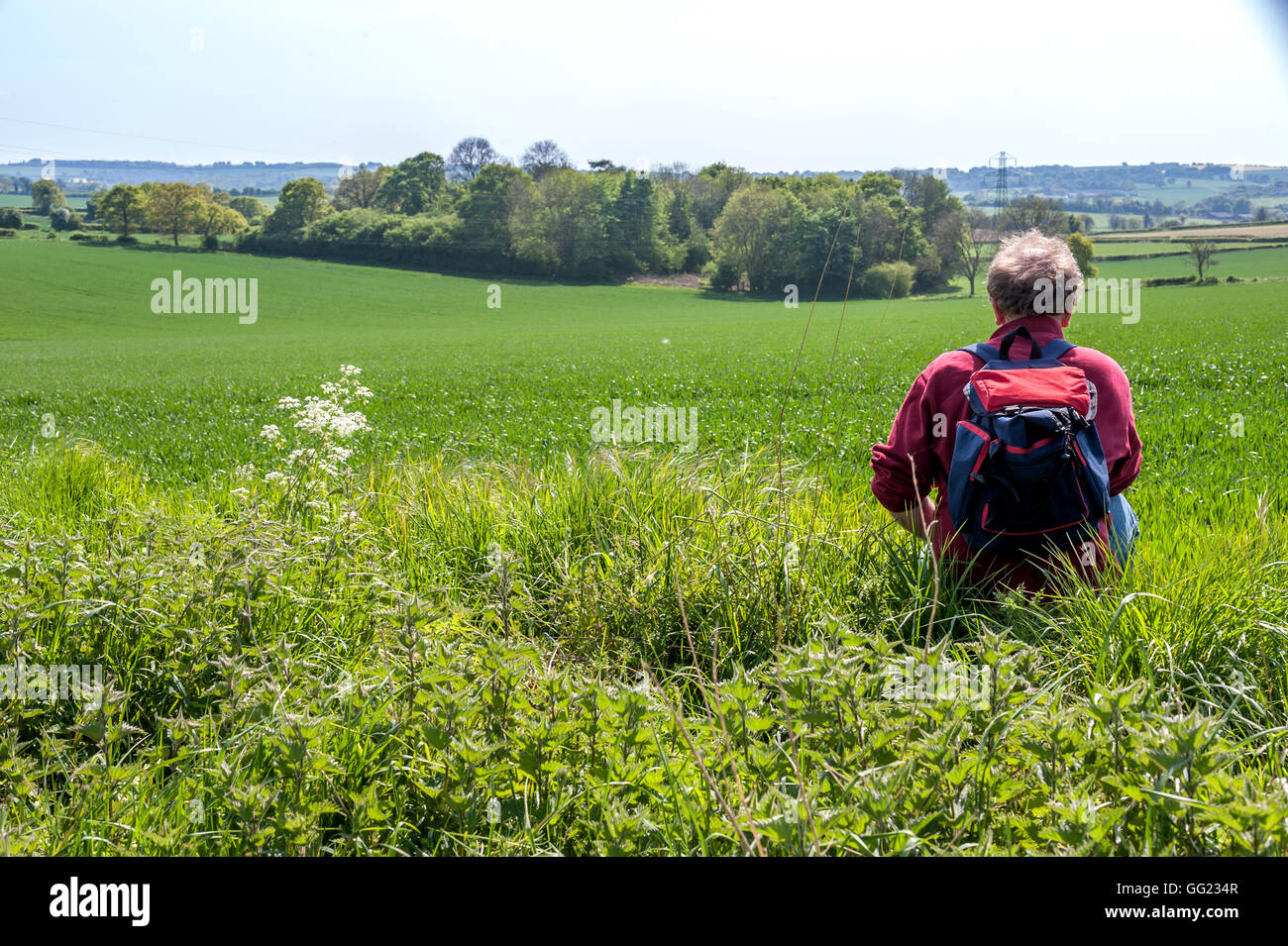 A field in Hampshire, the site of the Battle of Cheriton in the English ...