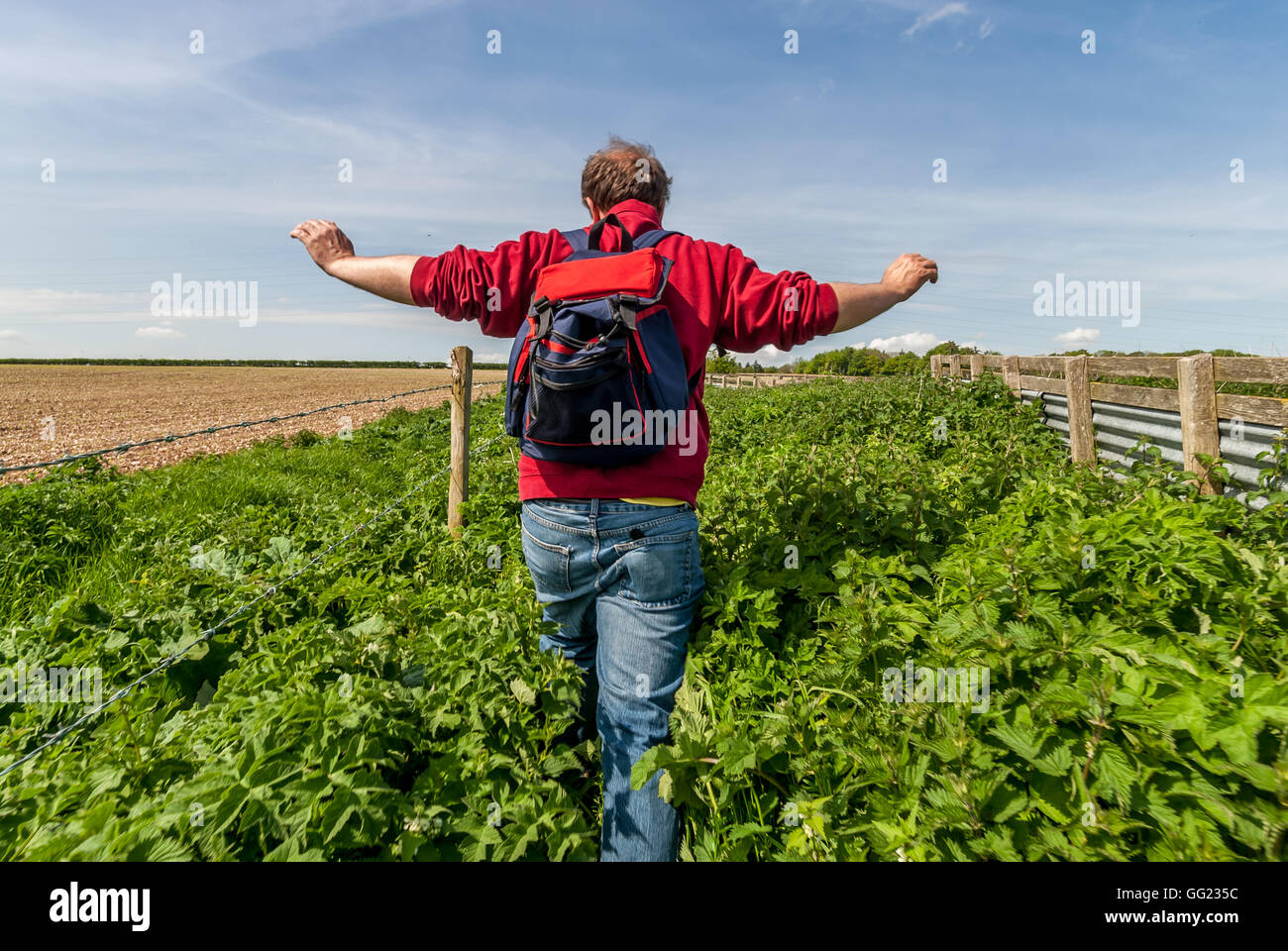 A field in Hampshire, the site of the Battle of Cheriton in the English ...