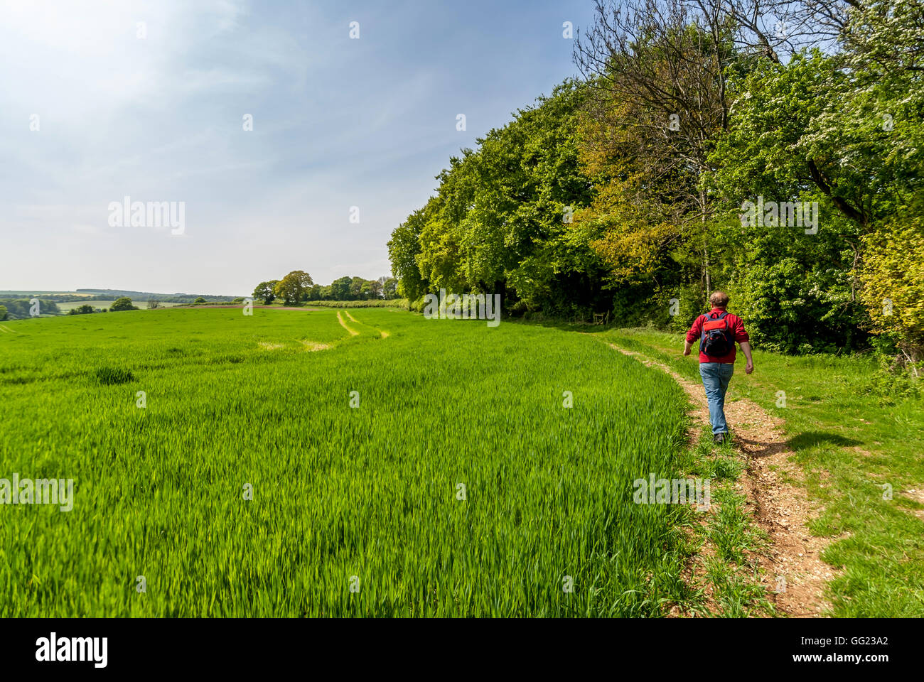A field in Hampshire, the site of the Battle of Cheriton in the English ...