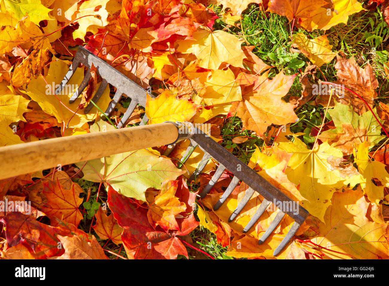 Rake for the garden hi-res stock photography and images - Alamy