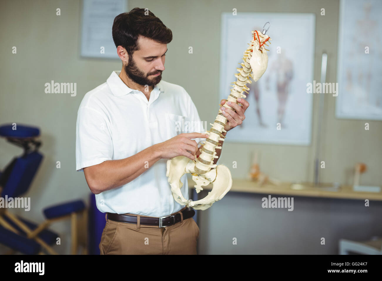 Male therapist holding spine model Stock Photo - Alamy