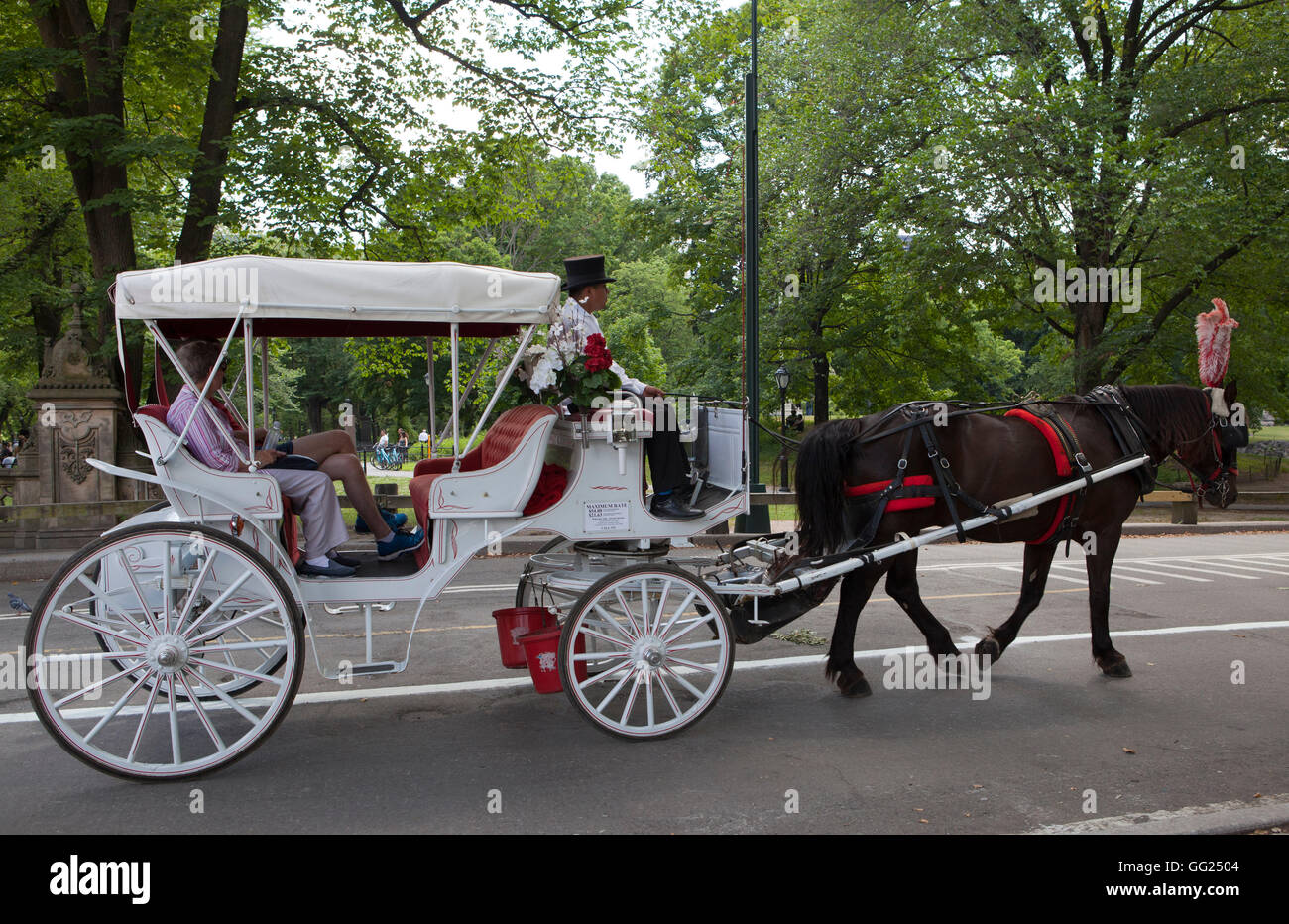 Carriage at central park hi-res stock photography and images - Alamy