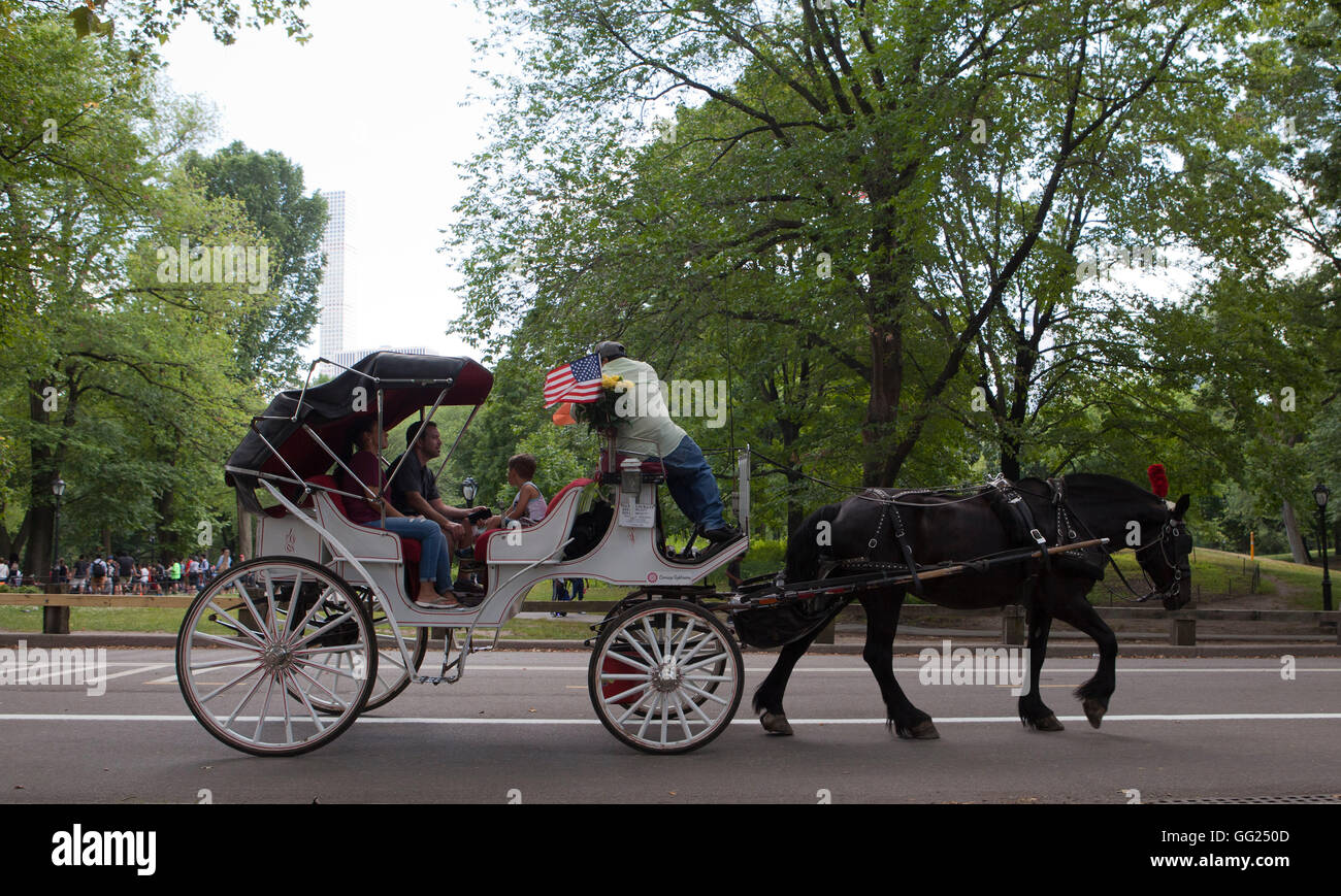 People ride in a horse drawn carriage through Central Park Stock Photo ...