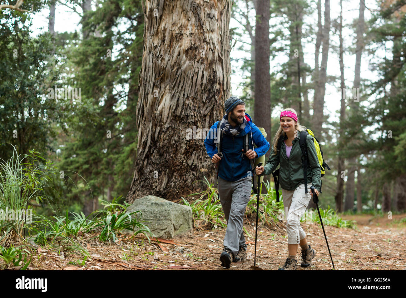 Hiker couple hiking in forest Stock Photo - Alamy