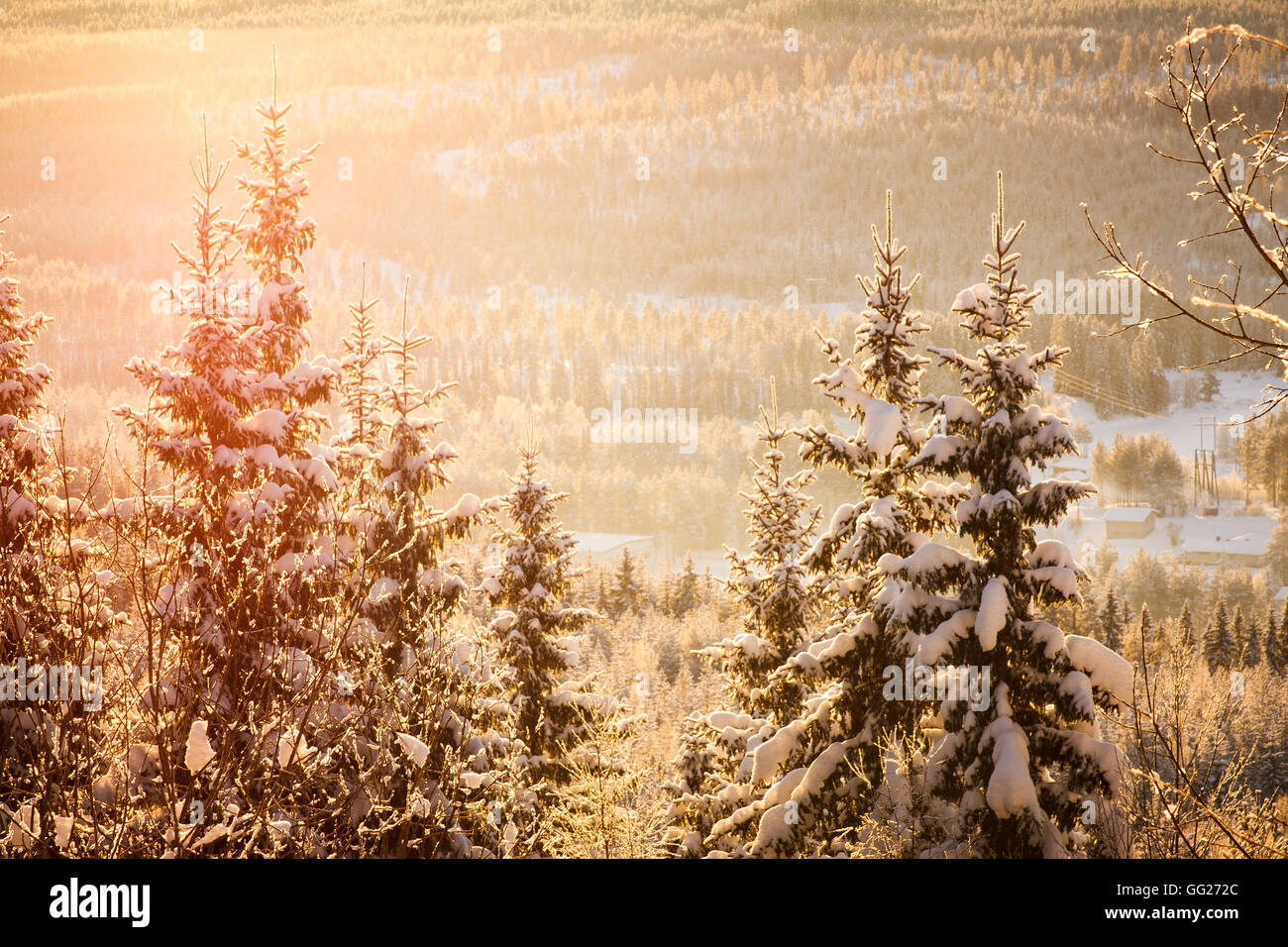 The low arctic sun creates a warm golden glow as it rises above the ...