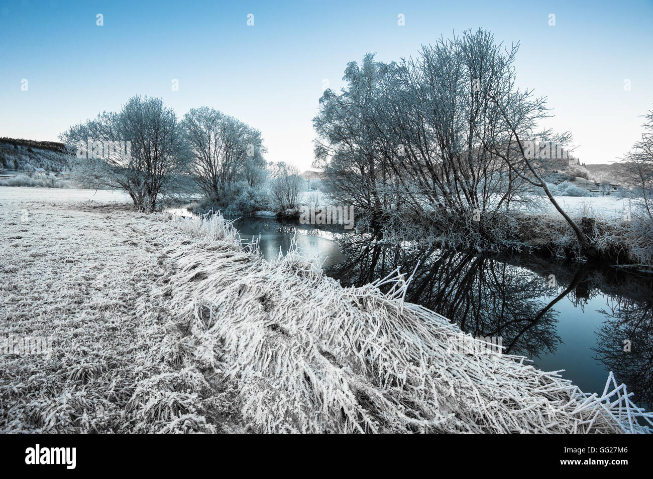 Frost on the ground hi-res stock photography and images - Alamy