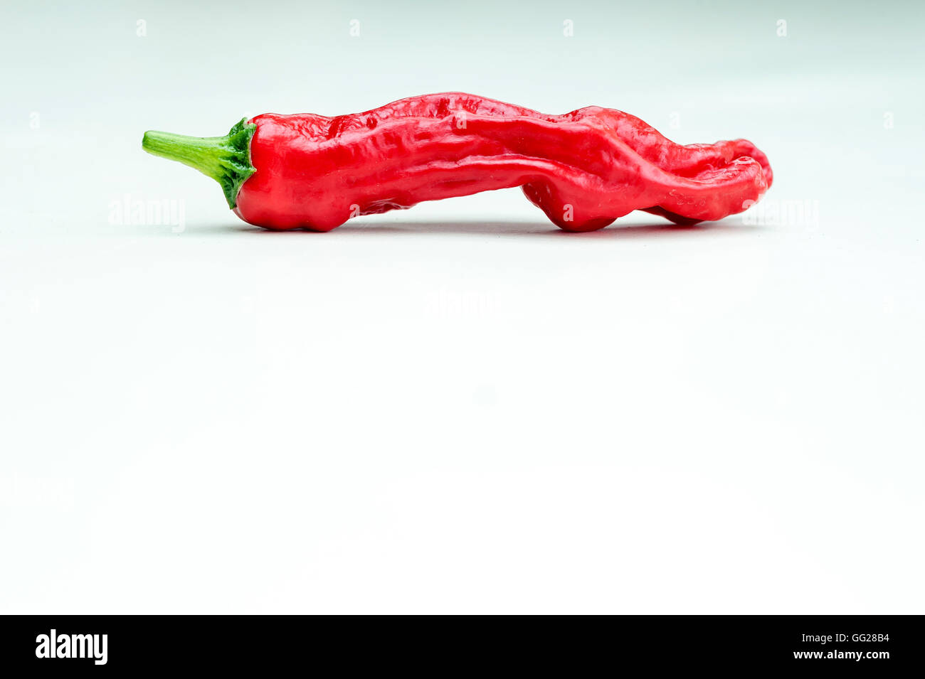 Unusual types of chili / chilli being grown in England Stock Photo - Alamy