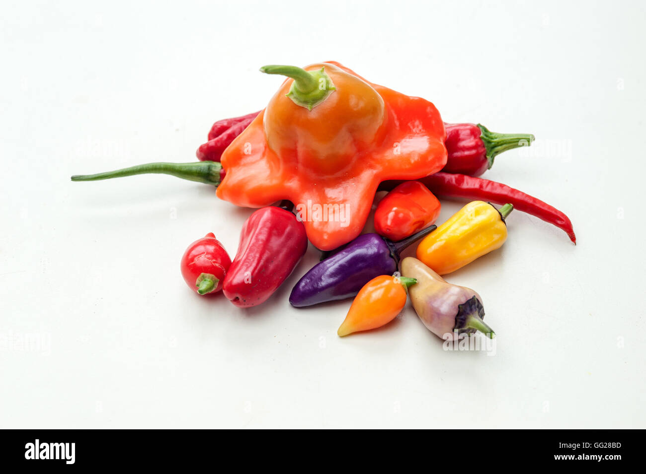 Unusual types of chili / chilli being grown in England Stock Photo - Alamy