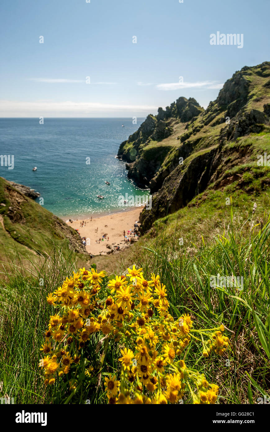 Maceley Cove in south Devon, near Prawle Stock Photo - Alamy