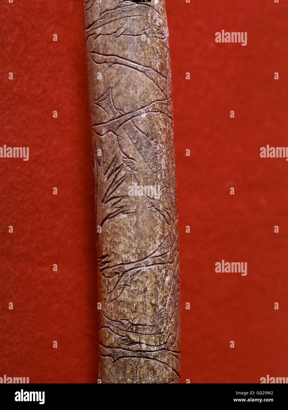 Engraved bone hi-res stock photography and images - Alamy