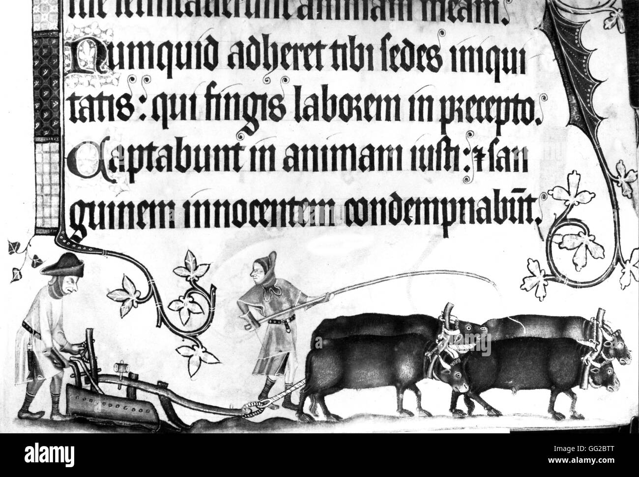 Luttrell psalter hi-res stock photography and images - Alamy