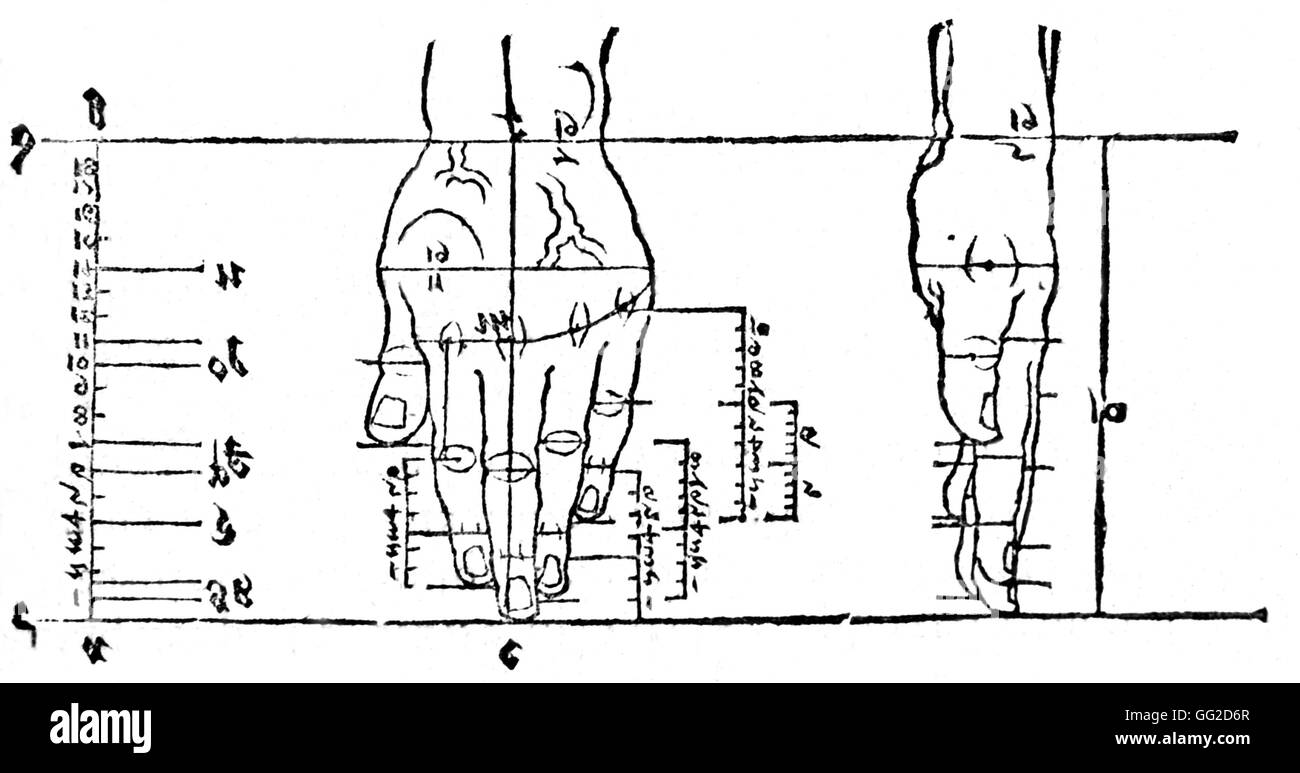 Human Proportion High Resolution Stock Photography and Images - Alamy