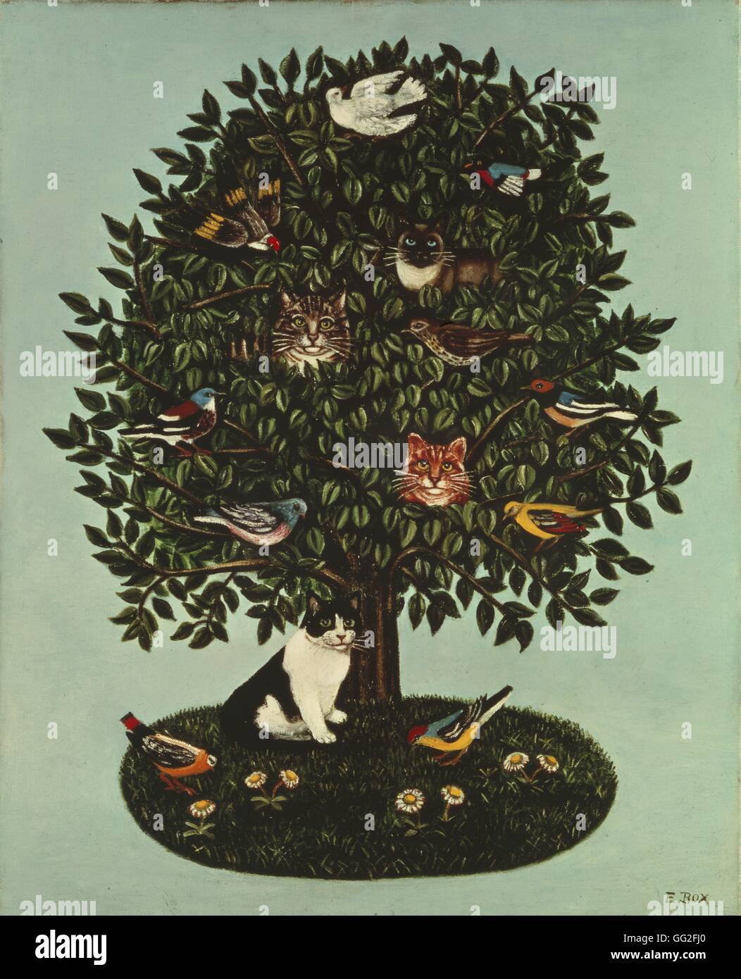 'Tree of Coexistence', illustration by E. Box. 20th century Stock Photo ...