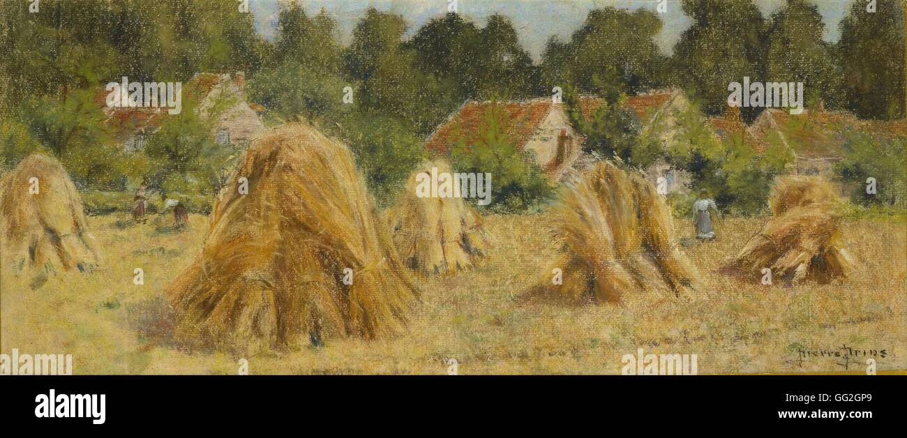 Haystacks in a field near the woods hi-res stock photography and images ...
