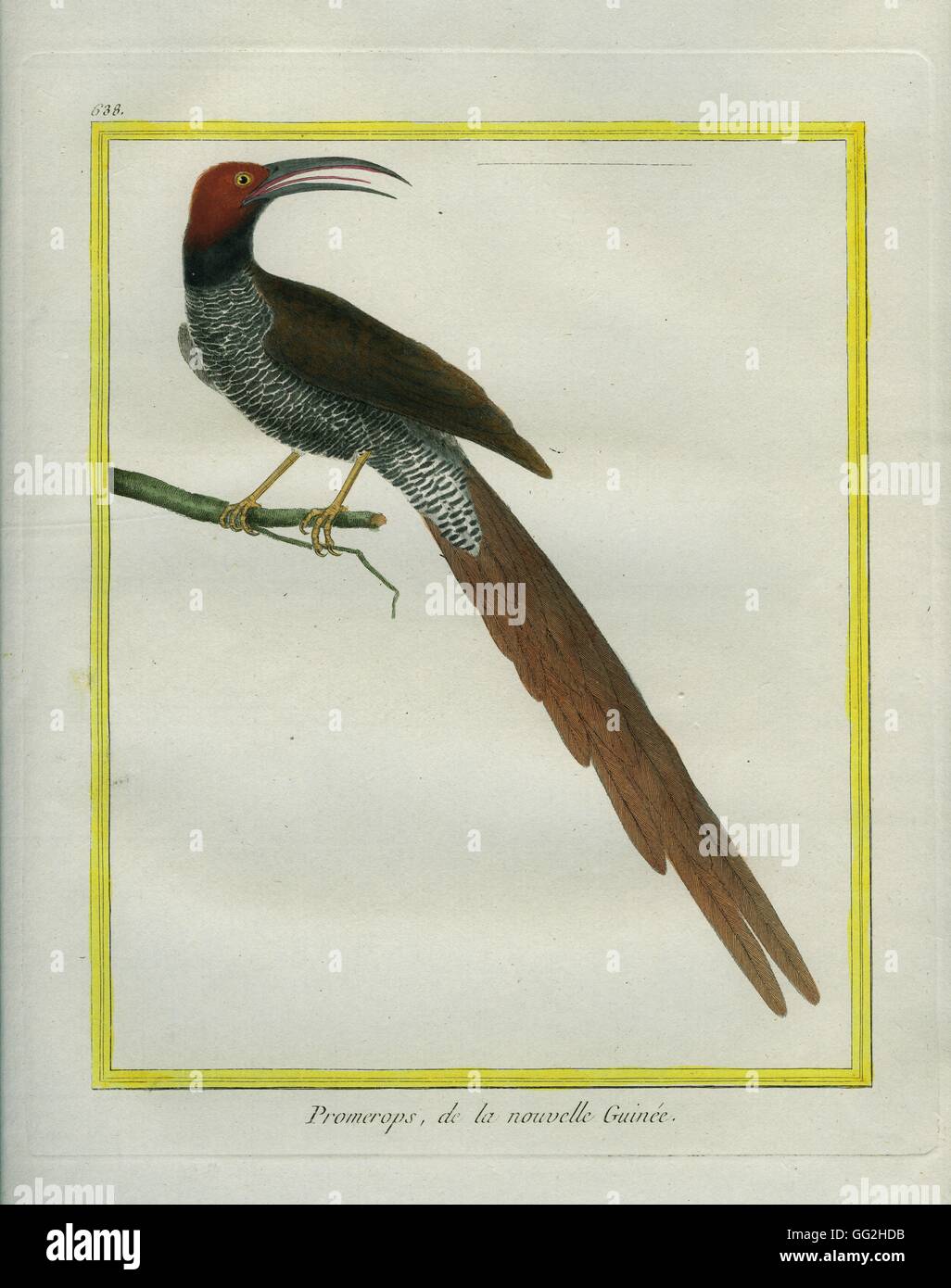 George-Louis Leclerc, Comte of Buffon "Natural History of birds, fish ...
