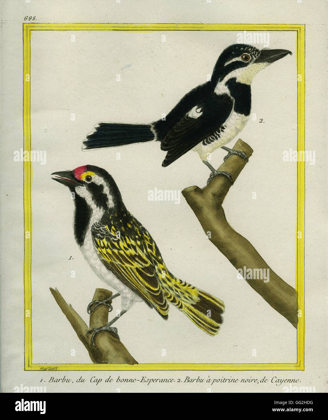 George-Louis Leclerc, Comte of Buffon "Natural History of birds, fish ...