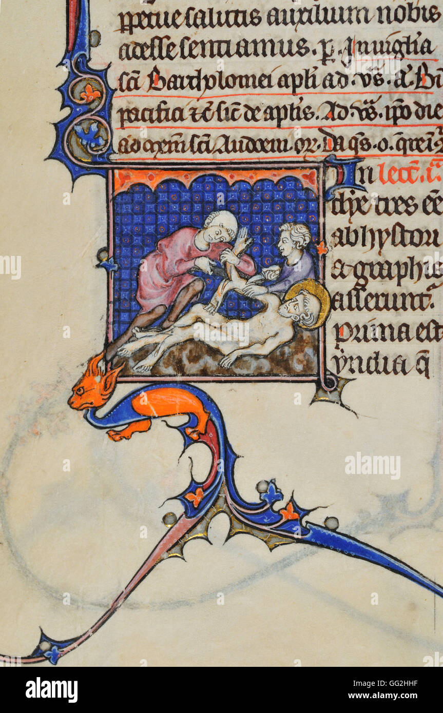 Saint bartholomew skin hi-res stock photography and images - Alamy