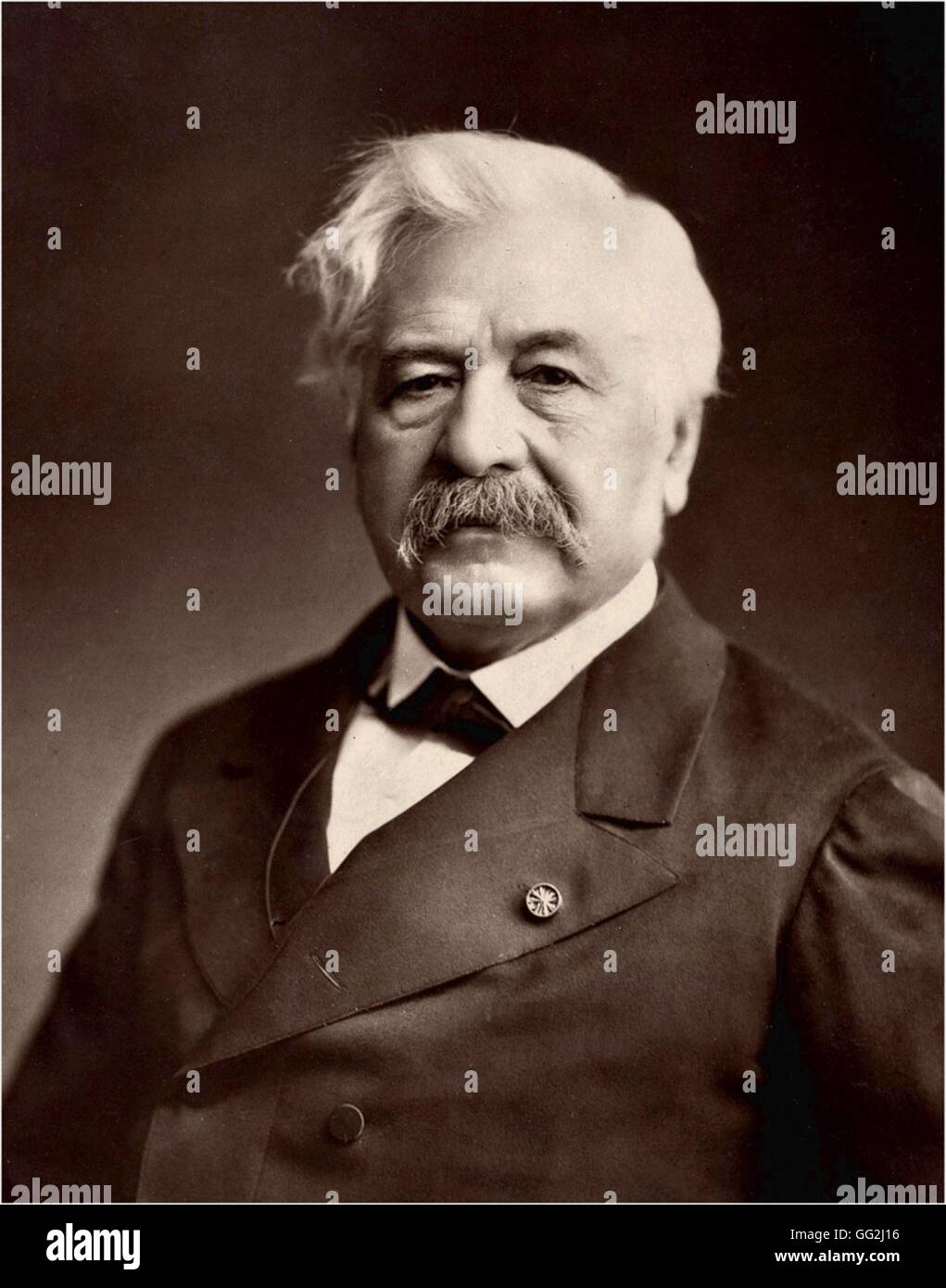 Portrait of Ferdinand de Lesseps (1805-1894), french diplomat and entrepreneur Photo by Nadar ...