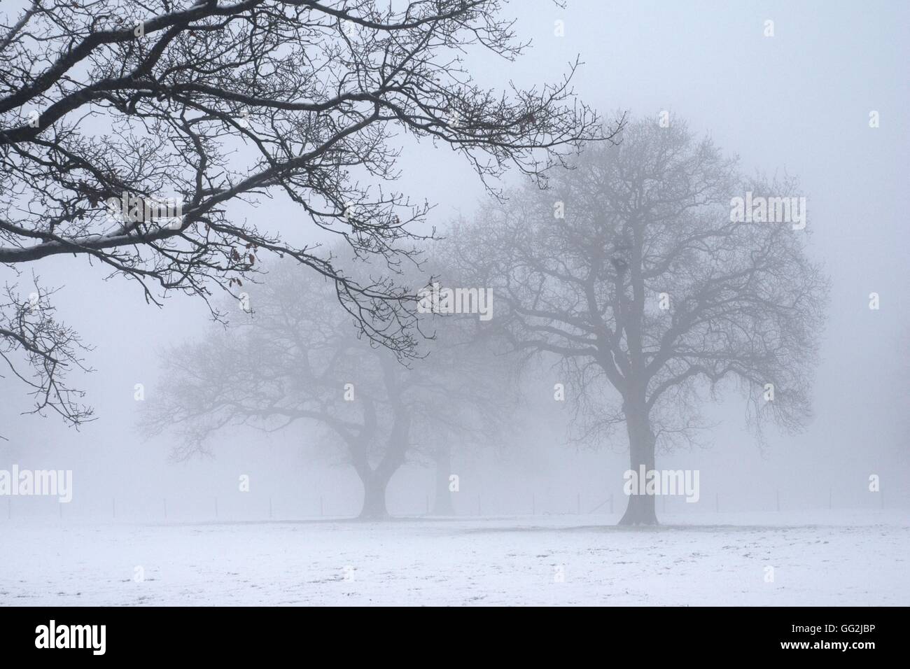 Snowy landscape, Great Britain Stock Photo - Alamy